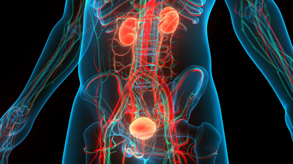 Urology Surgeons | North Carolina Specialty Hospital