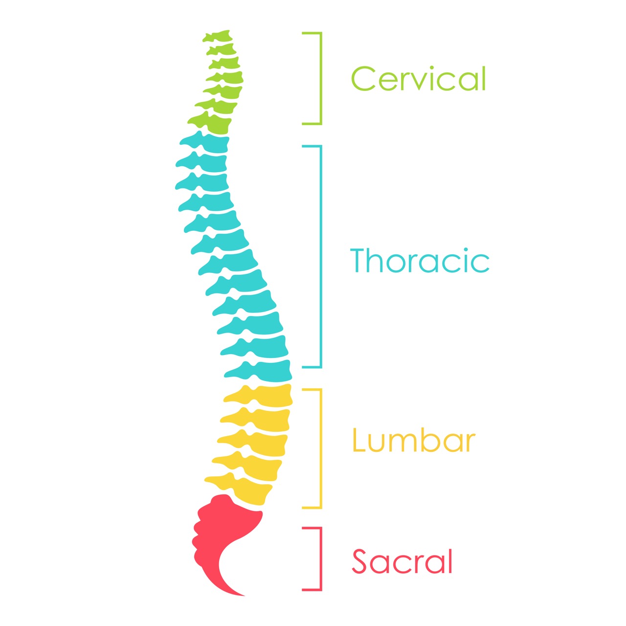 Dorsalgia Definition, Causes | North Carolina Specialty Hospital